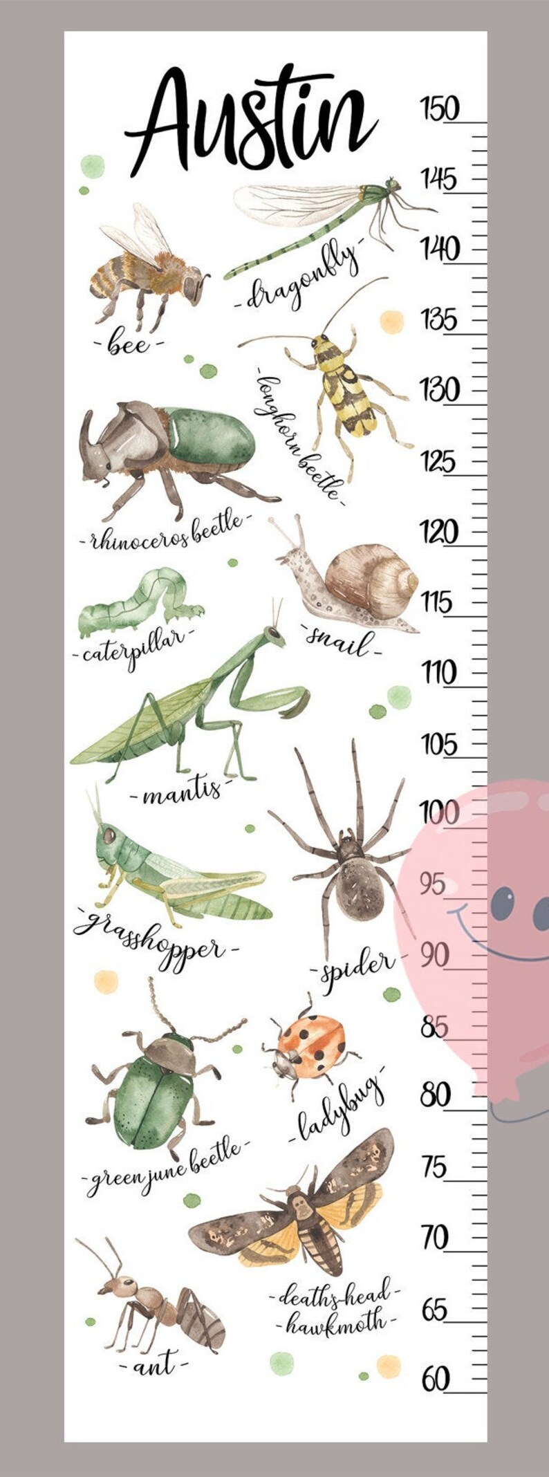 Bugs Growth Chart Insects Height Chart Future Entomologist - Etsy