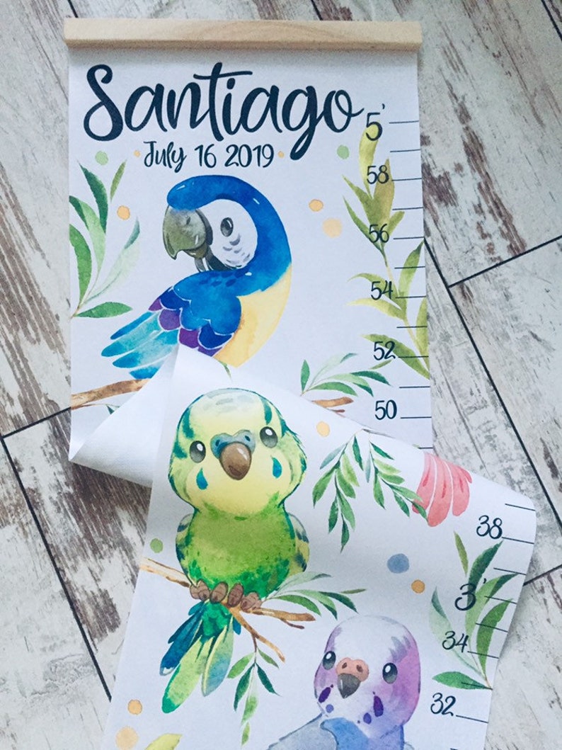 Kids Height Chart Parrot Growth Chart Parrots Wall Hanging | Etsy