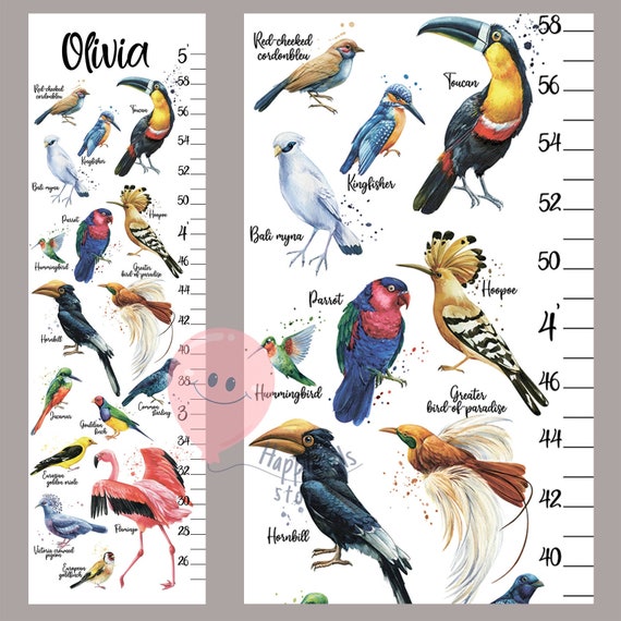 Pigeon Growth Chart