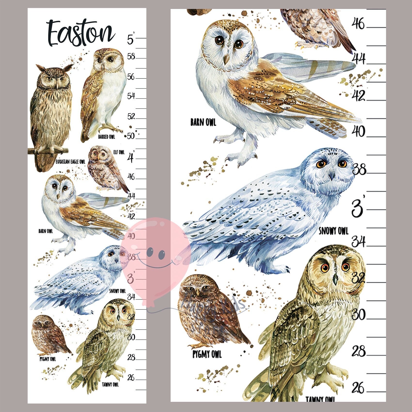 Types of Owls Growth Chart Personalized Height Chart Woodland - Etsy