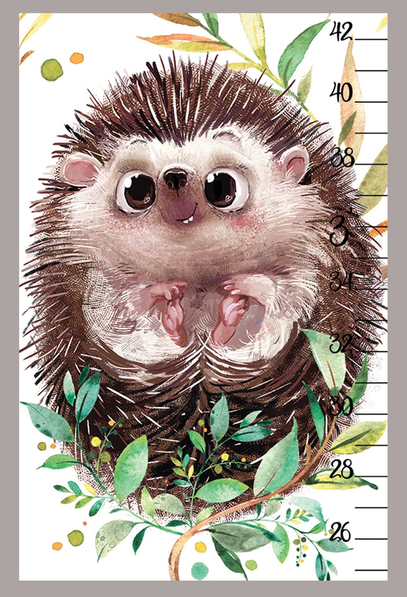 Hedgehog Height Chart Kids Growth Chart Hedgehogs Nursery - Etsy
