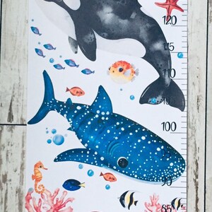 Under the Sea Growth Chart Shark Stingray Octopus Height Chart Nautical ...