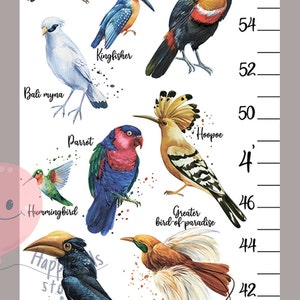 Birds Growth Chart - Tropical Nursery Wall Height Ruler - Etsy