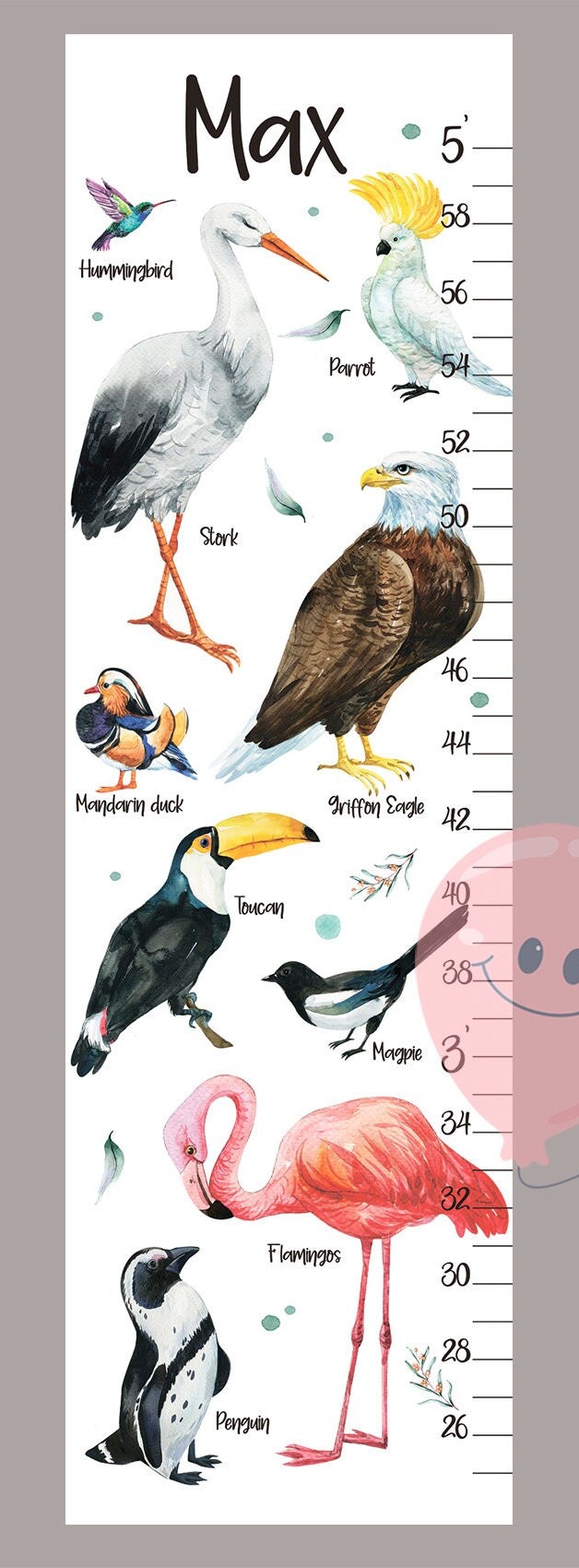 Height Chart Birds World Birds Species Growth Chart - Etsy Canada