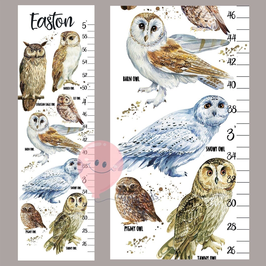 Types of Owls Growth Chart Personalized Height Chart Woodland Birds ...