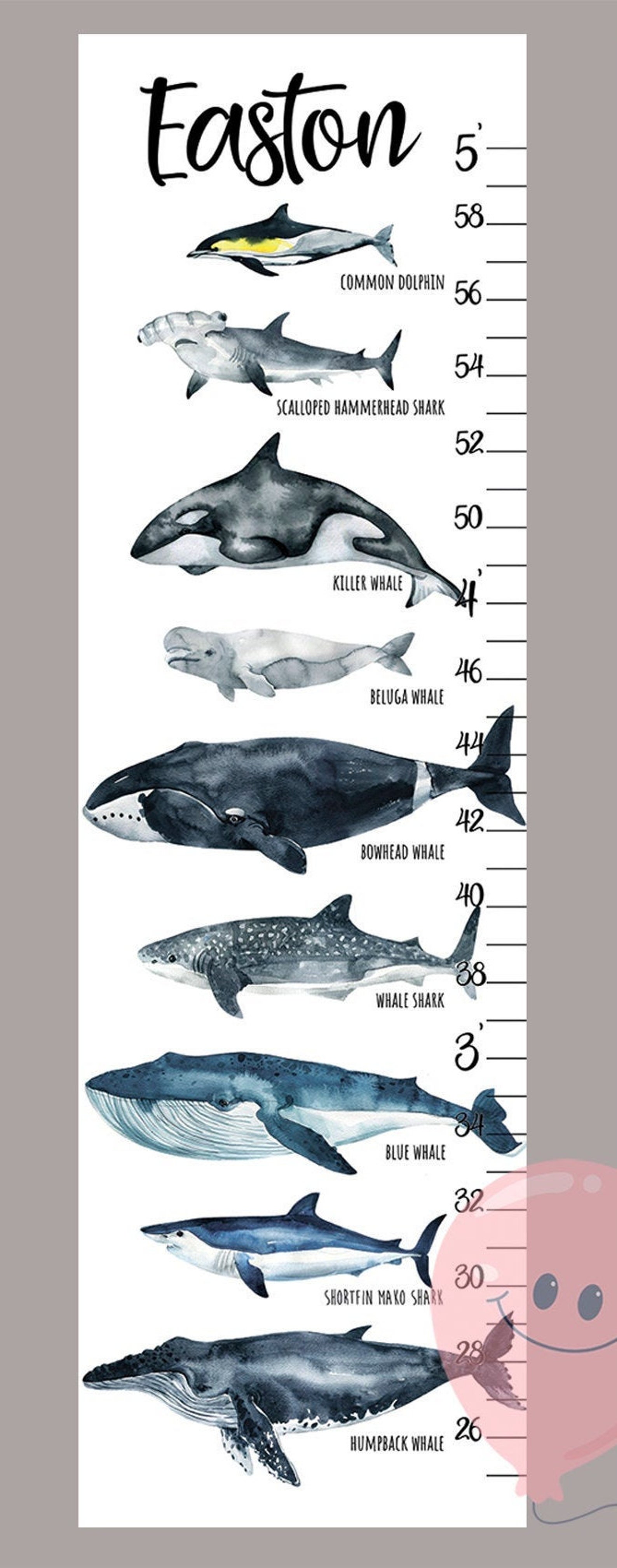 Under the Sea Growth Chart Whale Shark Dolphin Height Chart - Etsy