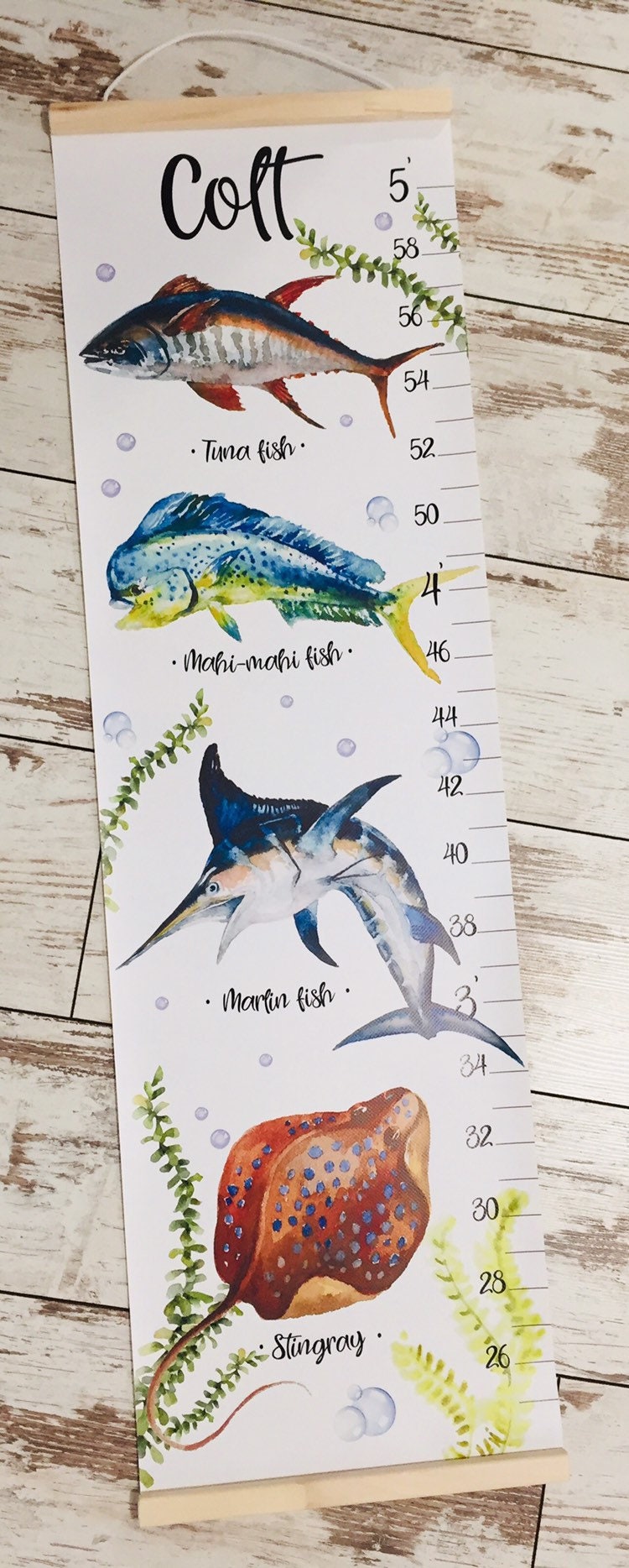 Fishing Growth Chart Marine Fish Height Chart Ocean Fish - Etsy Singapore