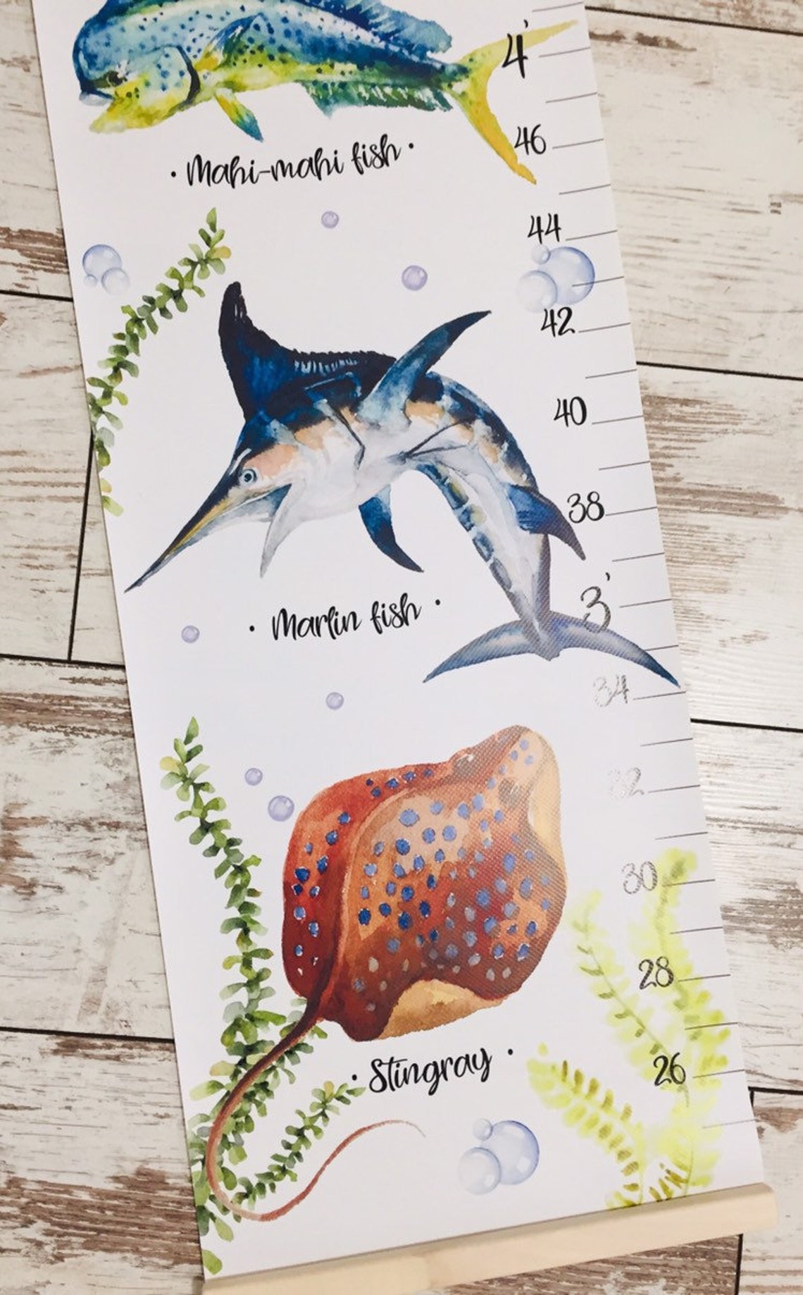 Fishing Growth Chart Marine Fish Height Chart Ocean Fish | Etsy