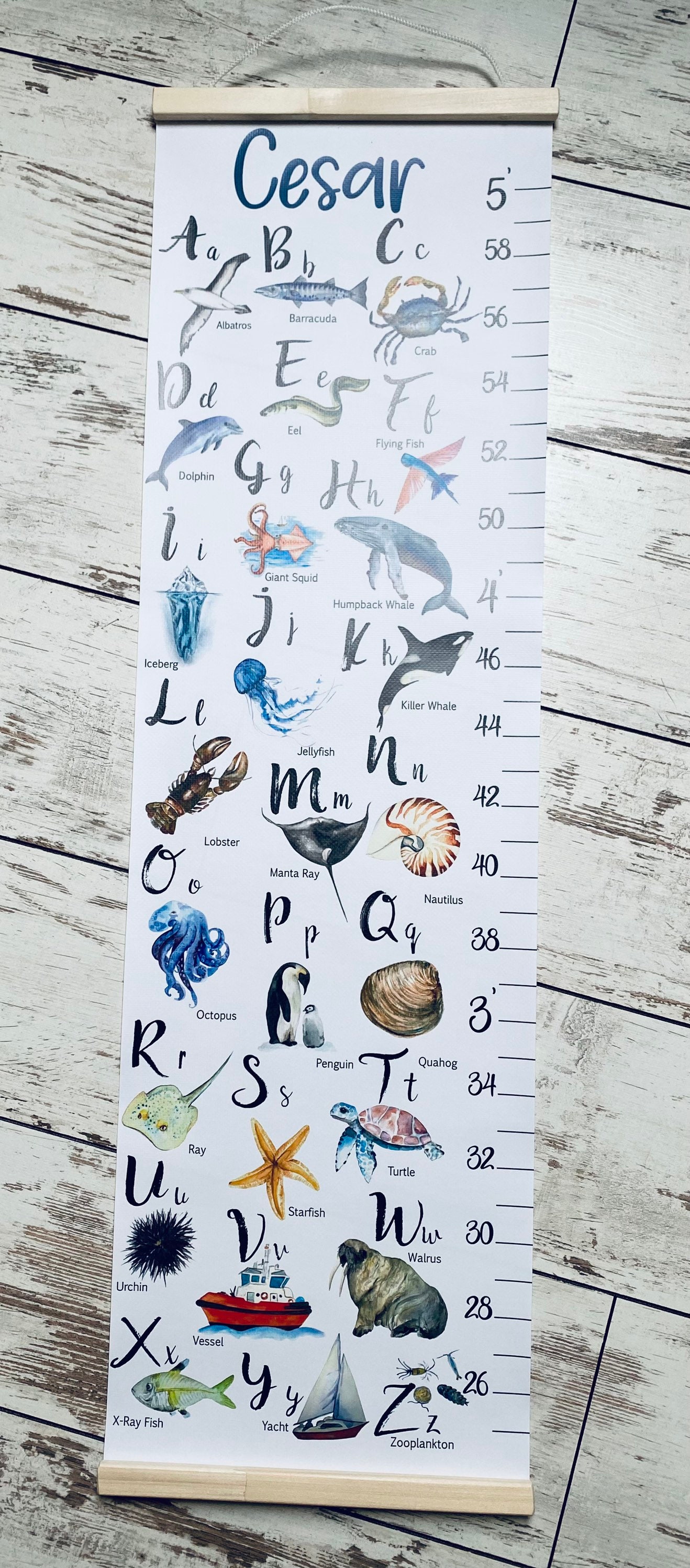 Ocean Alphabet Height Chart Under the Sea ABC Growth Chart | Etsy