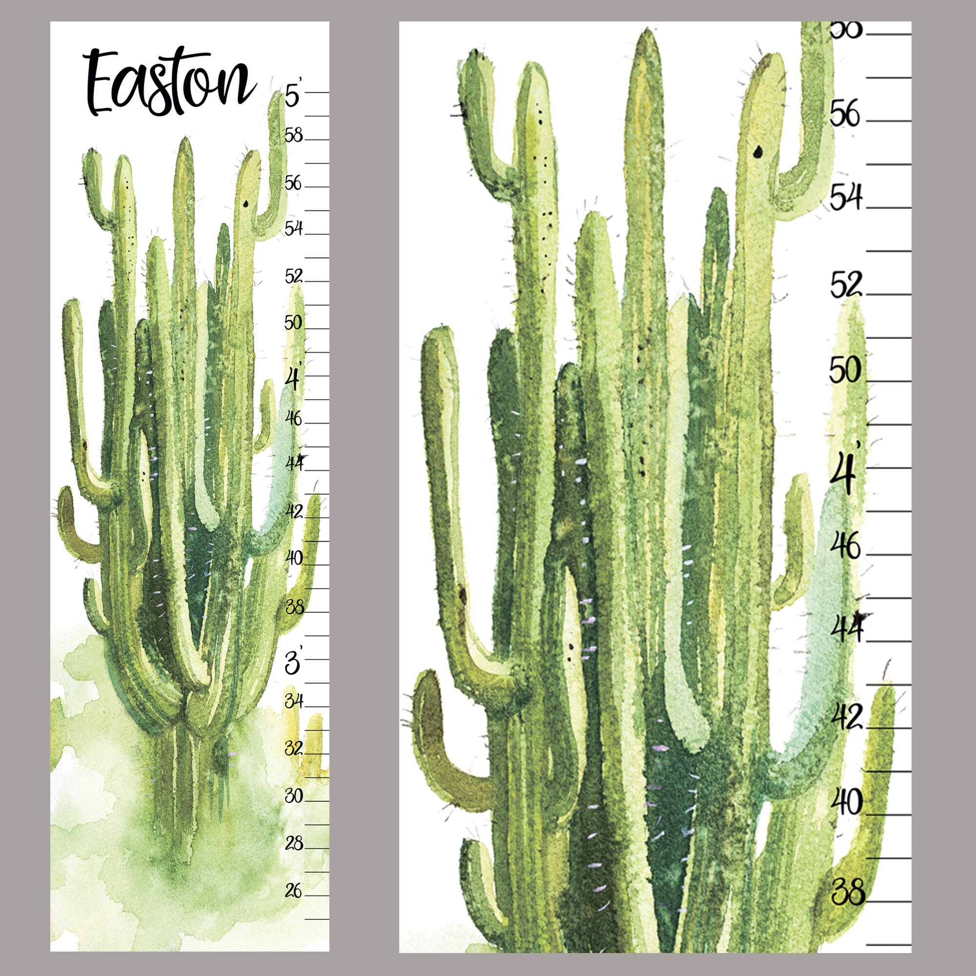 Cactus Growth Chart Desert Height Chart Cactus Wall Hanging | Etsy