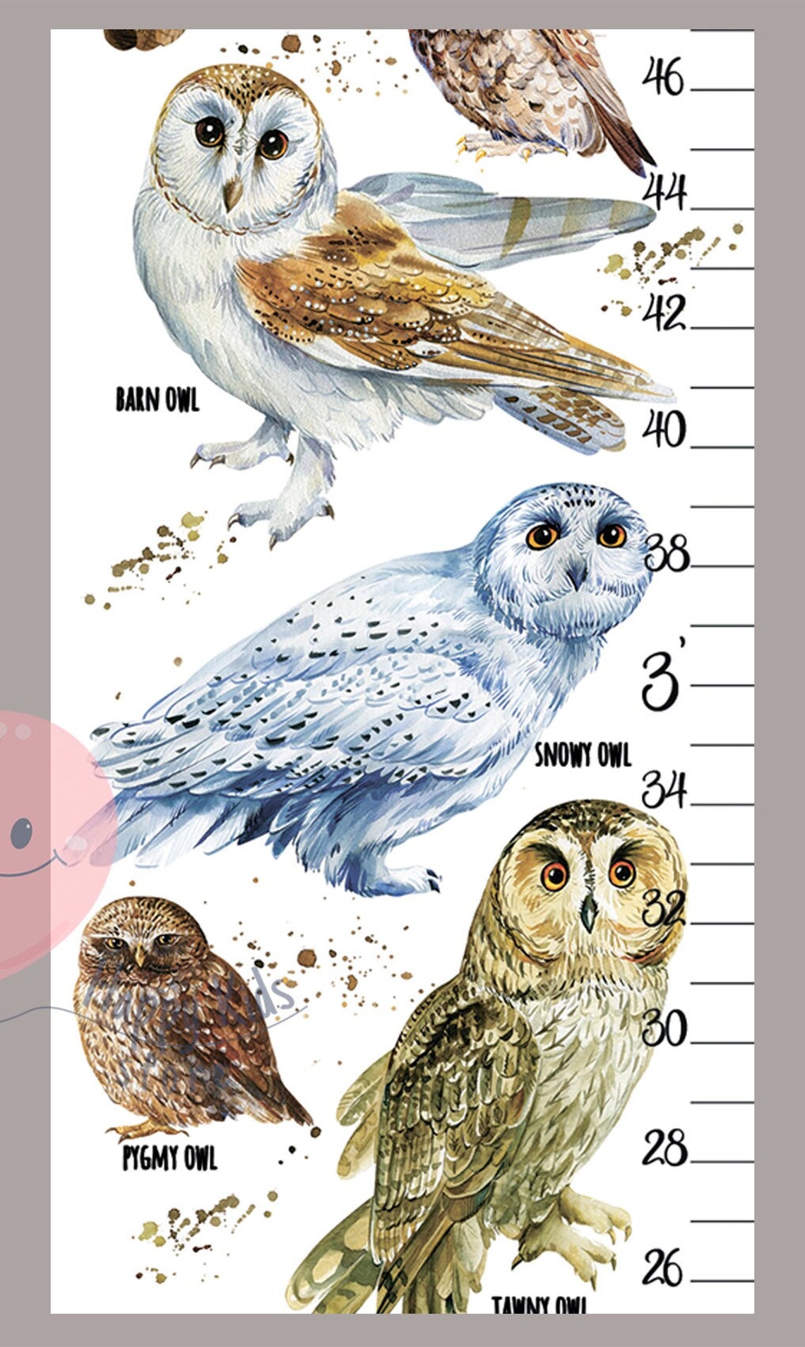 Types of Owls Growth Chart Personalized Height Chart Woodland | Etsy