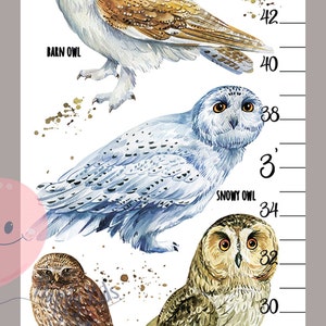 Types of Owls Growth Chart Personalized Height Chart Woodland Birds ...