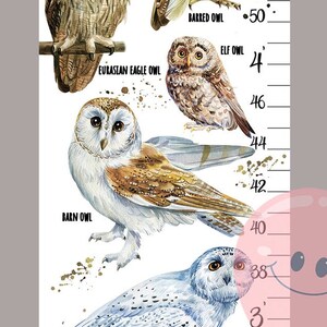 Types of Owls Growth Chart Personalized Height Chart Woodland Birds ...