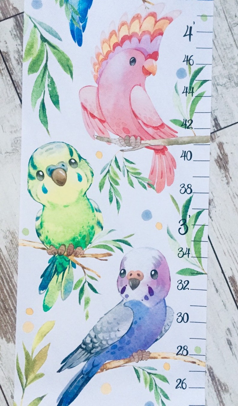 Kids Height Chart Parrot Growth Chart Parrots Wall Hanging | Etsy