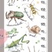 Bugs Growth Chart Insects Height Chart Future Entomologist - Etsy