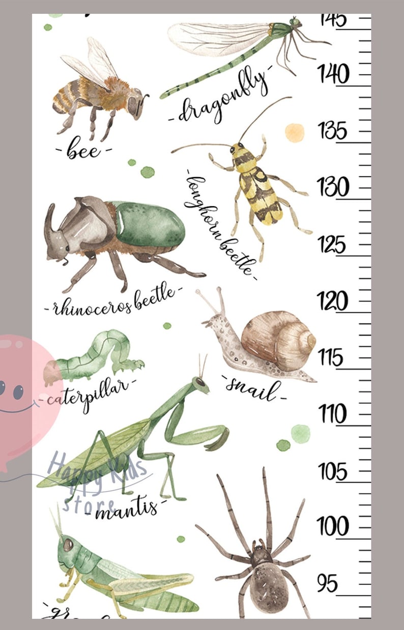 Bugs Growth Chart Insects Height Chart Future Entomologist - Etsy