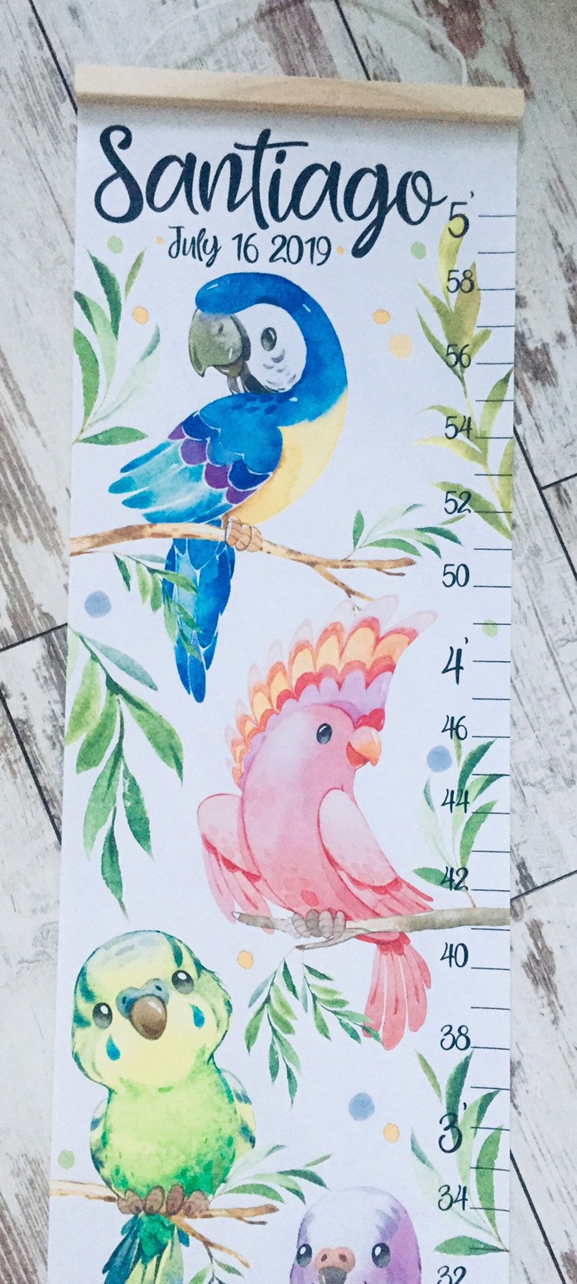 Kids Height Chart Parrot Growth Chart Parrots Wall Hanging | Etsy