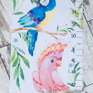 Kids Height Chart Parrot Growth Chart Parrots Wall Hanging Nursery ...