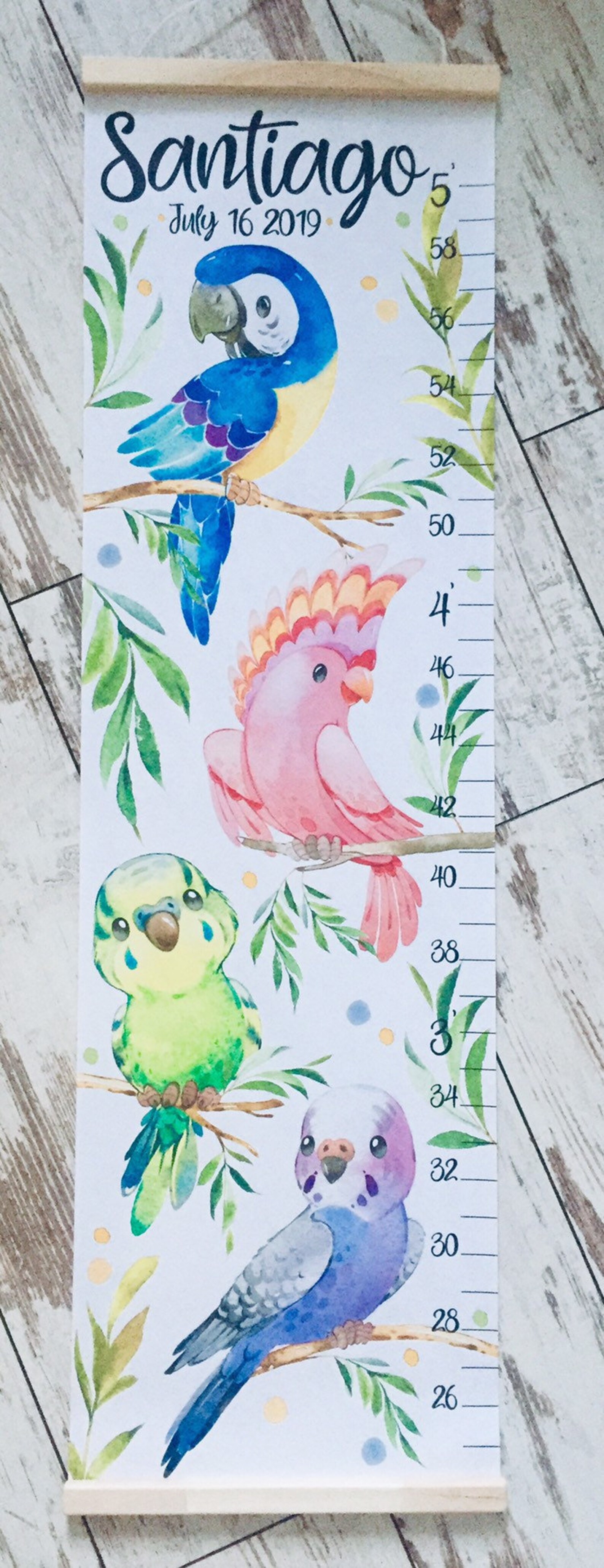 Kids Height Chart Parrot Growth Chart Parrots Wall Hanging | Etsy