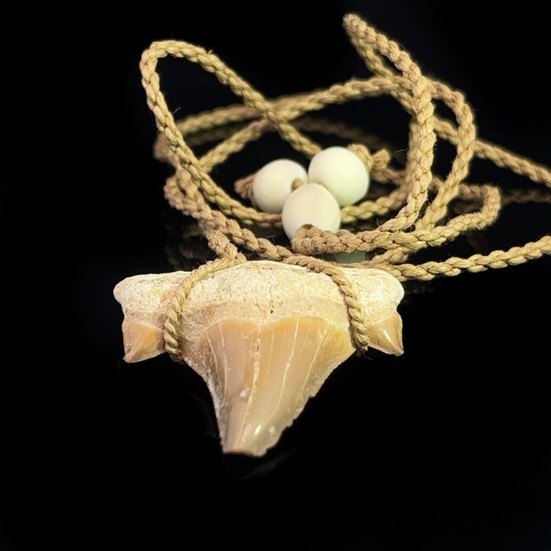 Tribal Claw Pendant, Unique Claw, Rope Necklace, Claw Jewelry ...