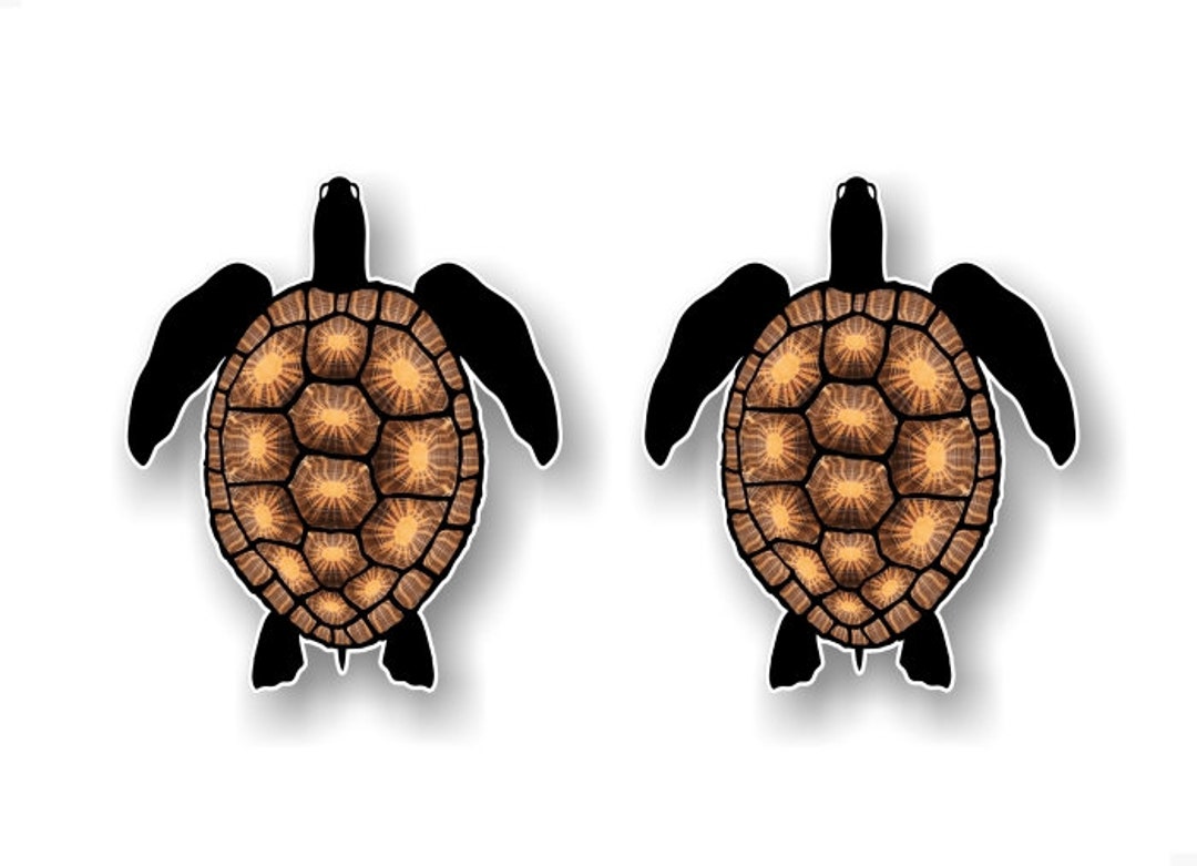 Sea Turtle 7'' Decals Patient Wise Symbol of Good Luck, Long Life ...