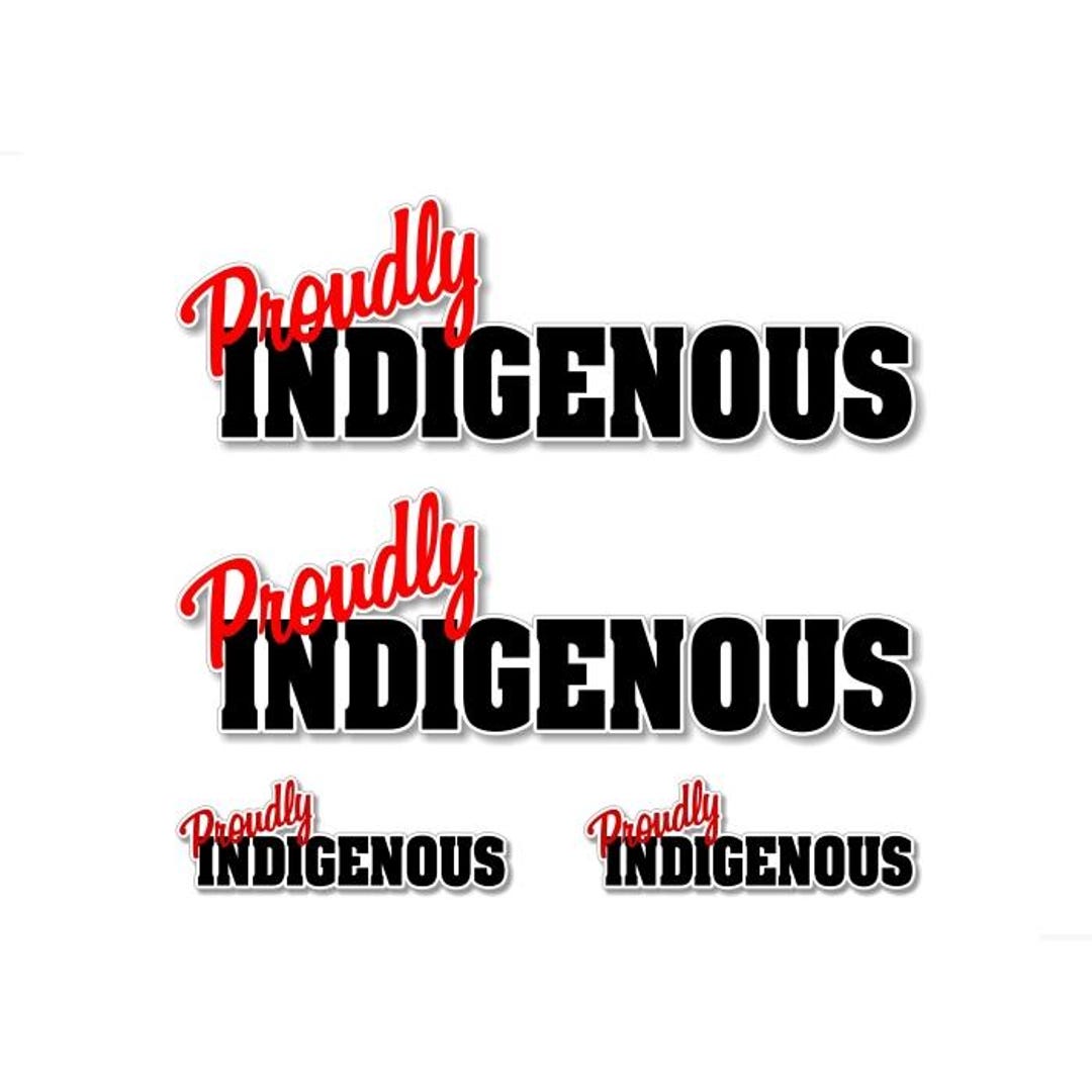 4 Proudly INDIGENOUS Decals in 4" and 9" Sizes Native American First ...