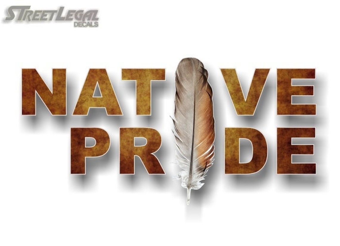 NATIVE PRIDE With Feather 9'' Vinyl Decal Native | Etsy