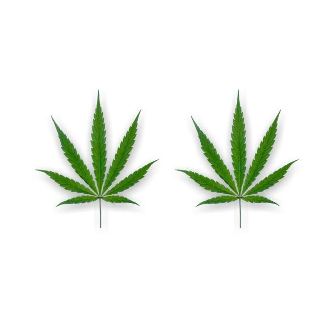 2 Cannabis Leaf Decals Stickers Marijuana Pot Leaf Bong Flag Vinyl ...