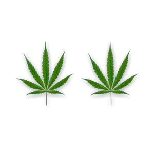 2 Cannabis Leaf Decals Stickers Marijuana Pot Leaf Bong Flag Vinyl ...