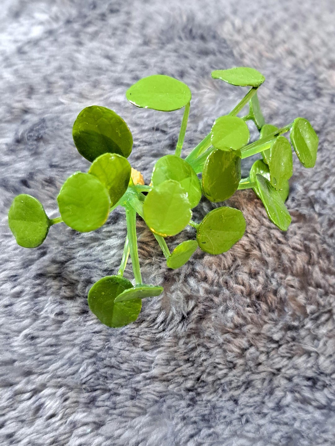 MGA Miniverse Pilea Pair - Plants Only - New - Etsy