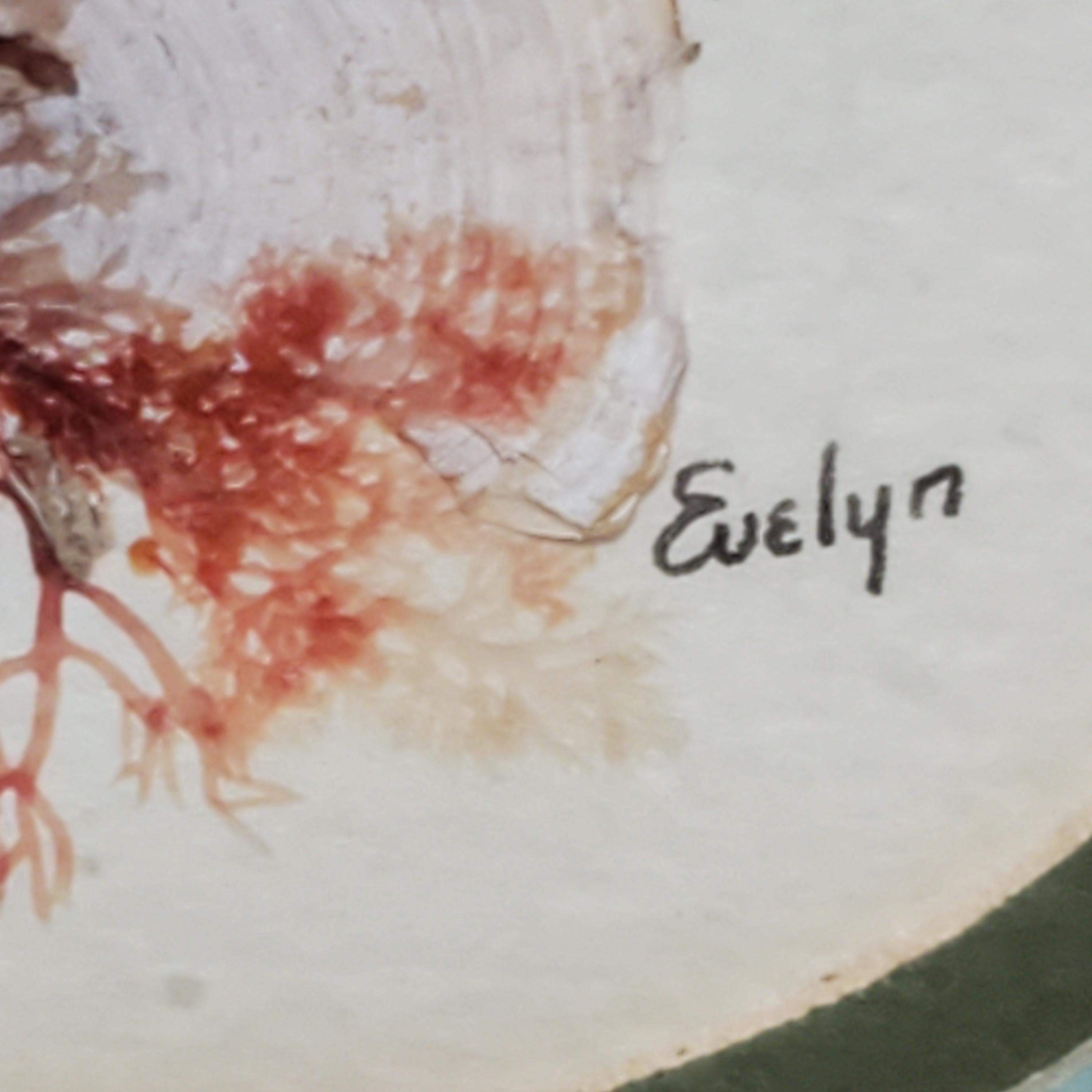 Vintage Framed Hawaiian Dried Seaweed Wall Hanging Art Nautical Home Decor Signed evelyn - Etsy