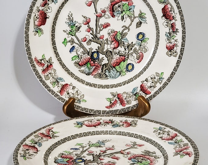 Vintage Johnson Brothers England Indian Tree Pattern Dinner Plates Set ...