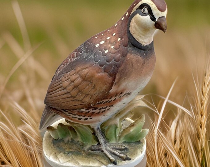 Vintage Lefton Japan Bob White Quail Bird Figurine #KW2002 - Etsy