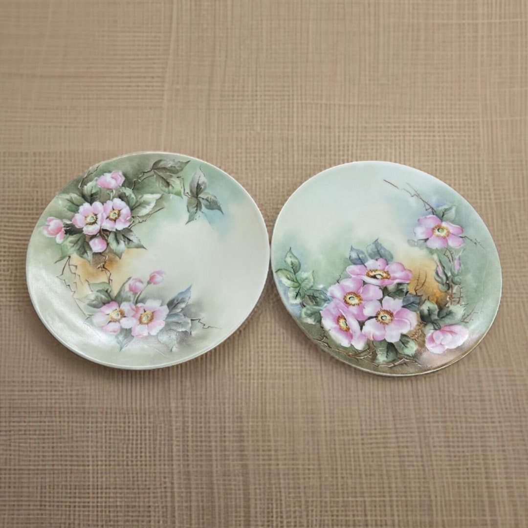 Vintage Lefton Hand Painted Wild Rose Porcelain 8.5" Plates Set of 2 ...