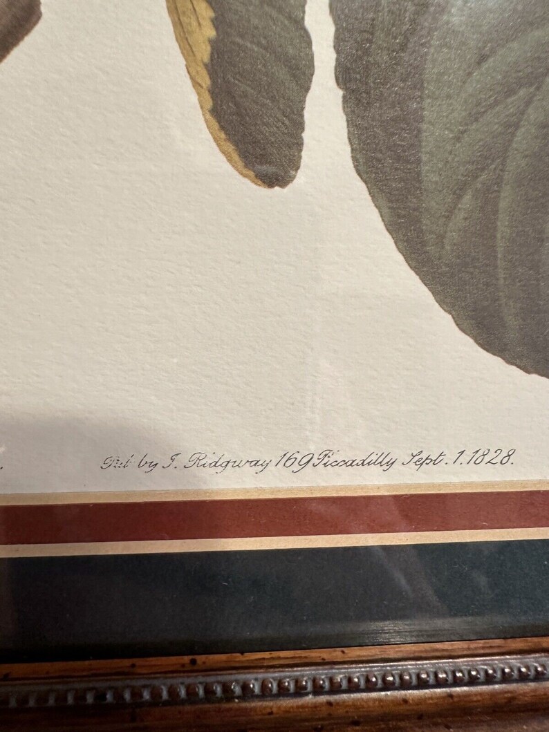 Pair of Vintage Apple Prints English 1828 BY L Watts Framed Glass 8 X ...