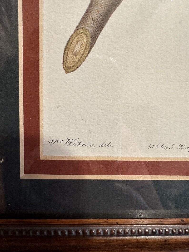 Pair of Vintage Apple Prints English 1828 BY L Watts Framed Glass 8 X ...