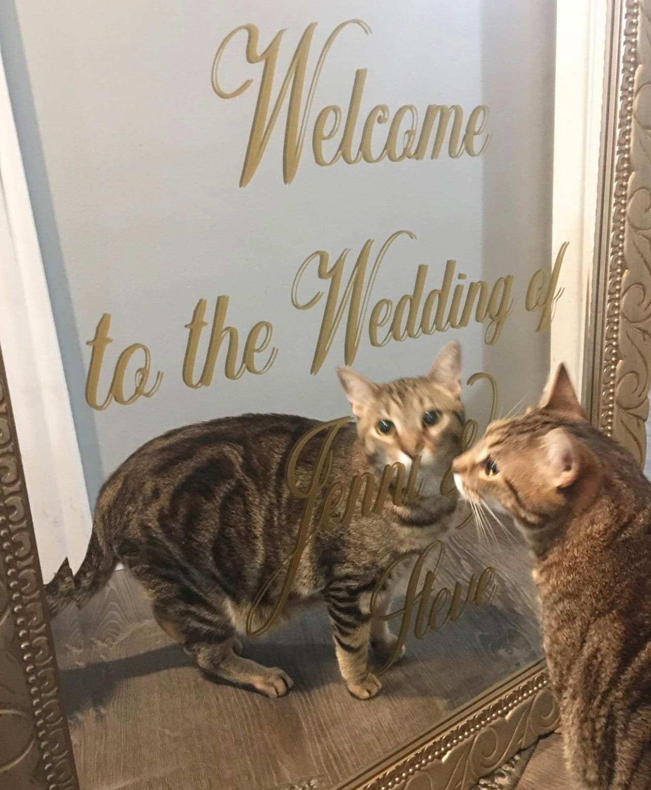 Custom DECAL for DIY Signage Permanent Vinyl Wedding - Etsy