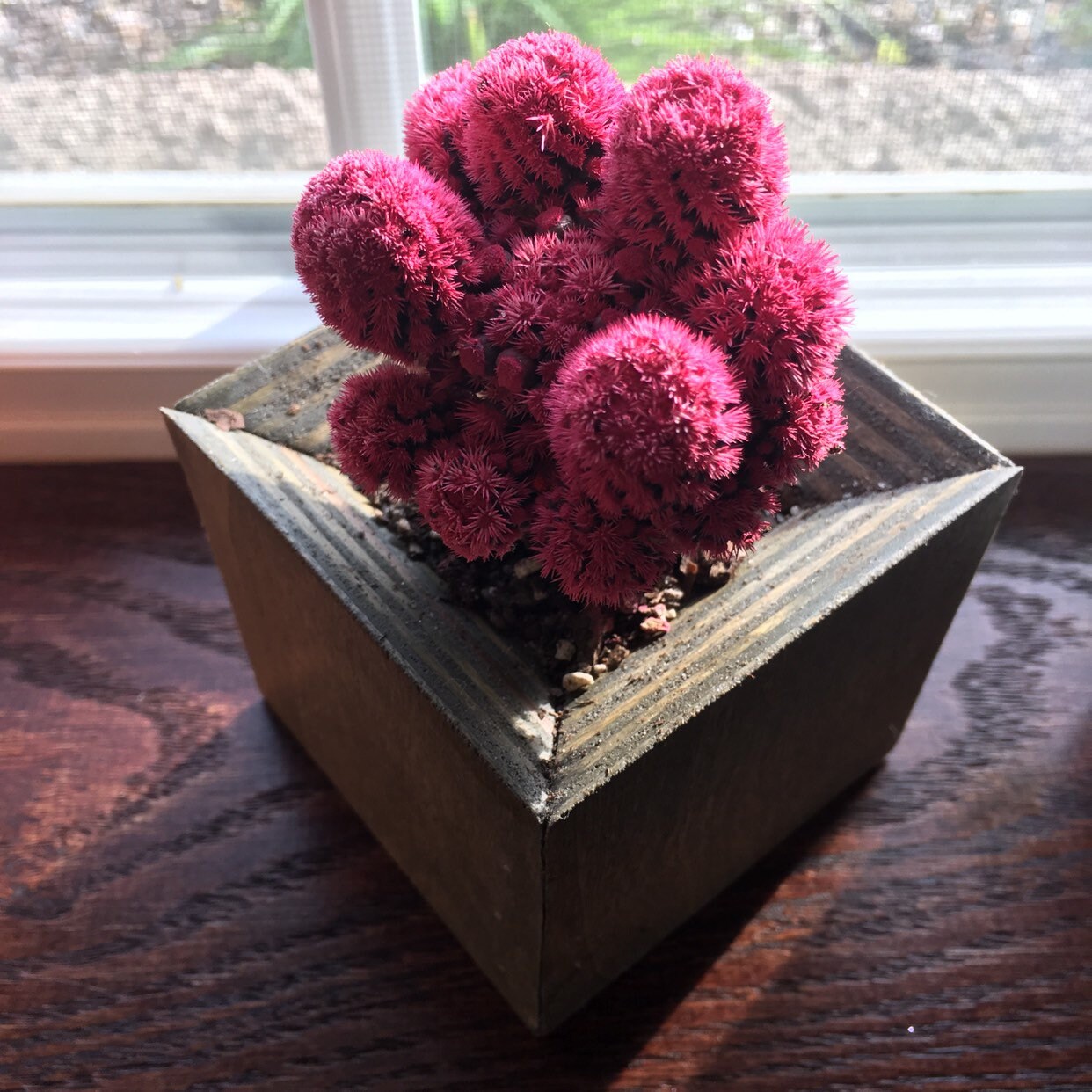 Square Succulent Planter Box 3 4 Mother's - Etsy