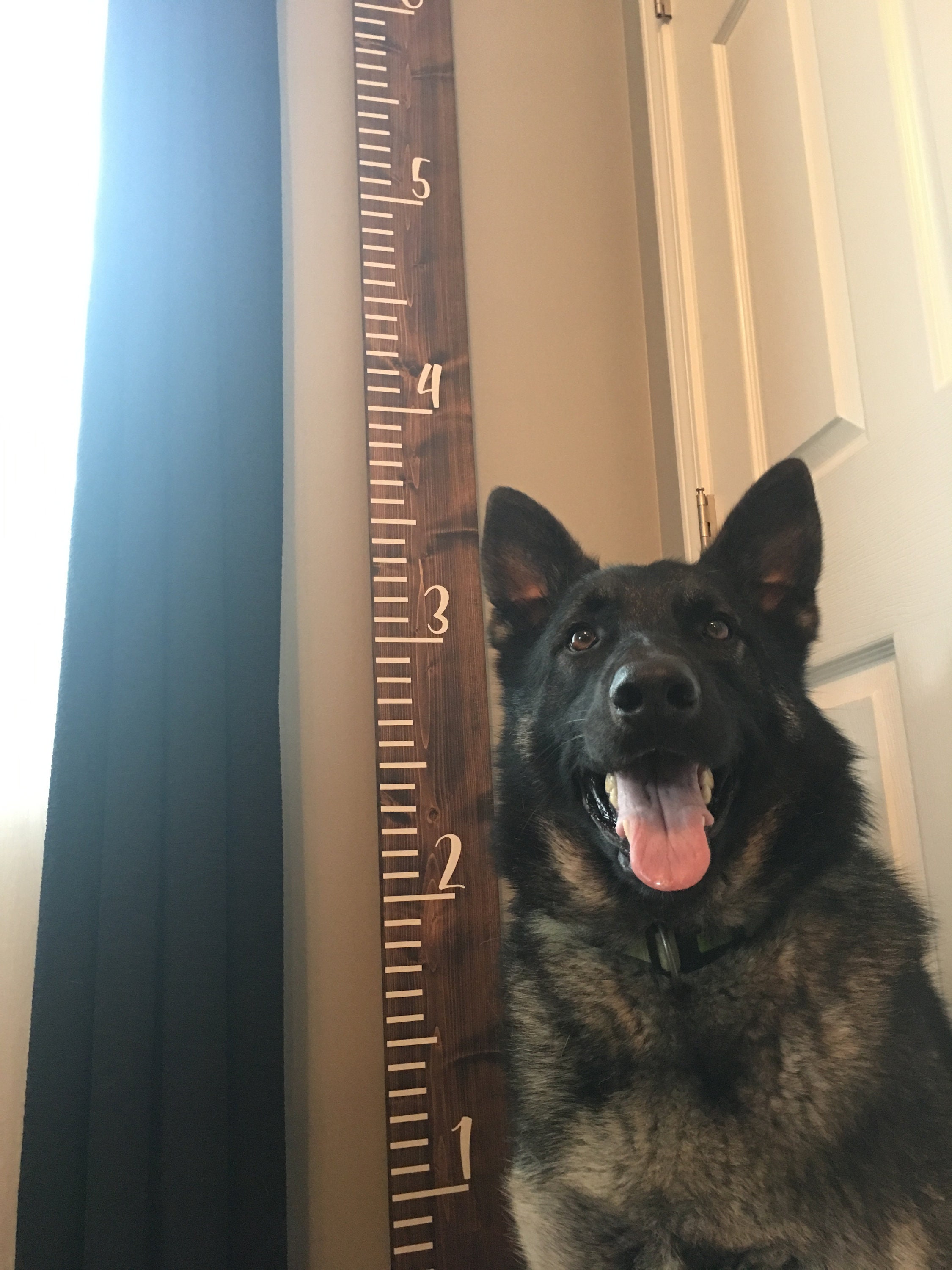 Growth Chart Ruler THIN Giant Measuring Stick Growth Ruler | Etsy