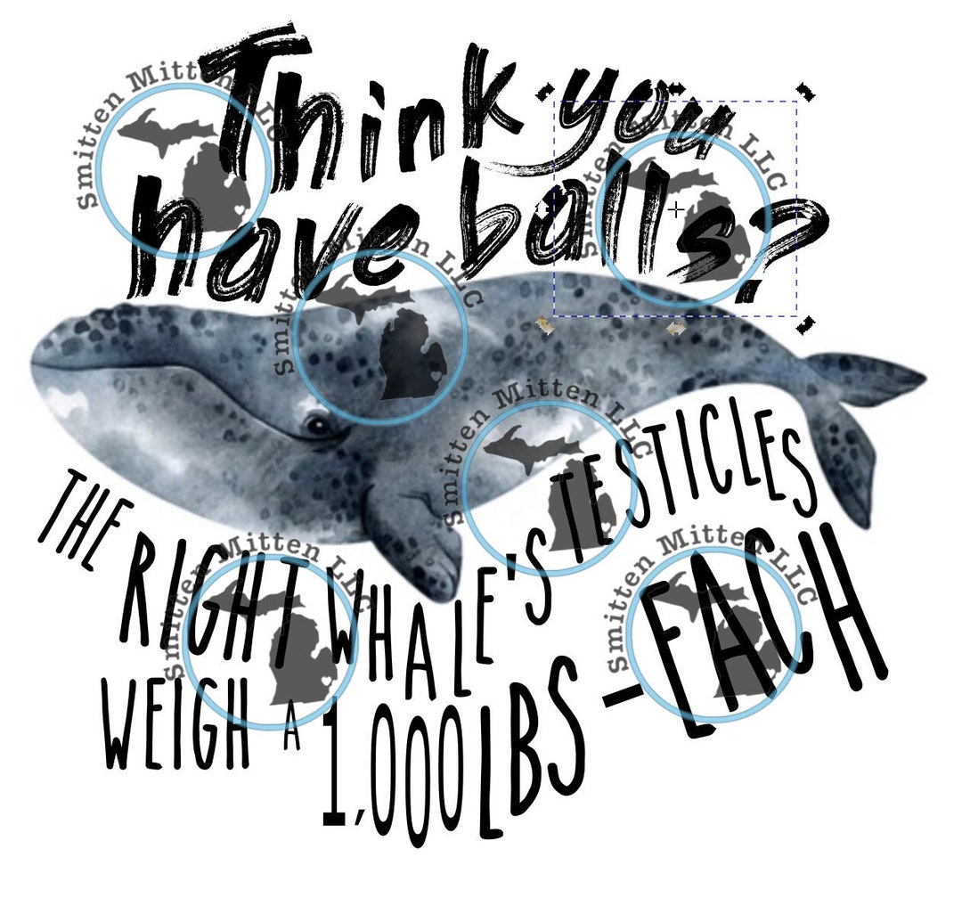 Right Whale Testicles Sublimation File - Etsy
