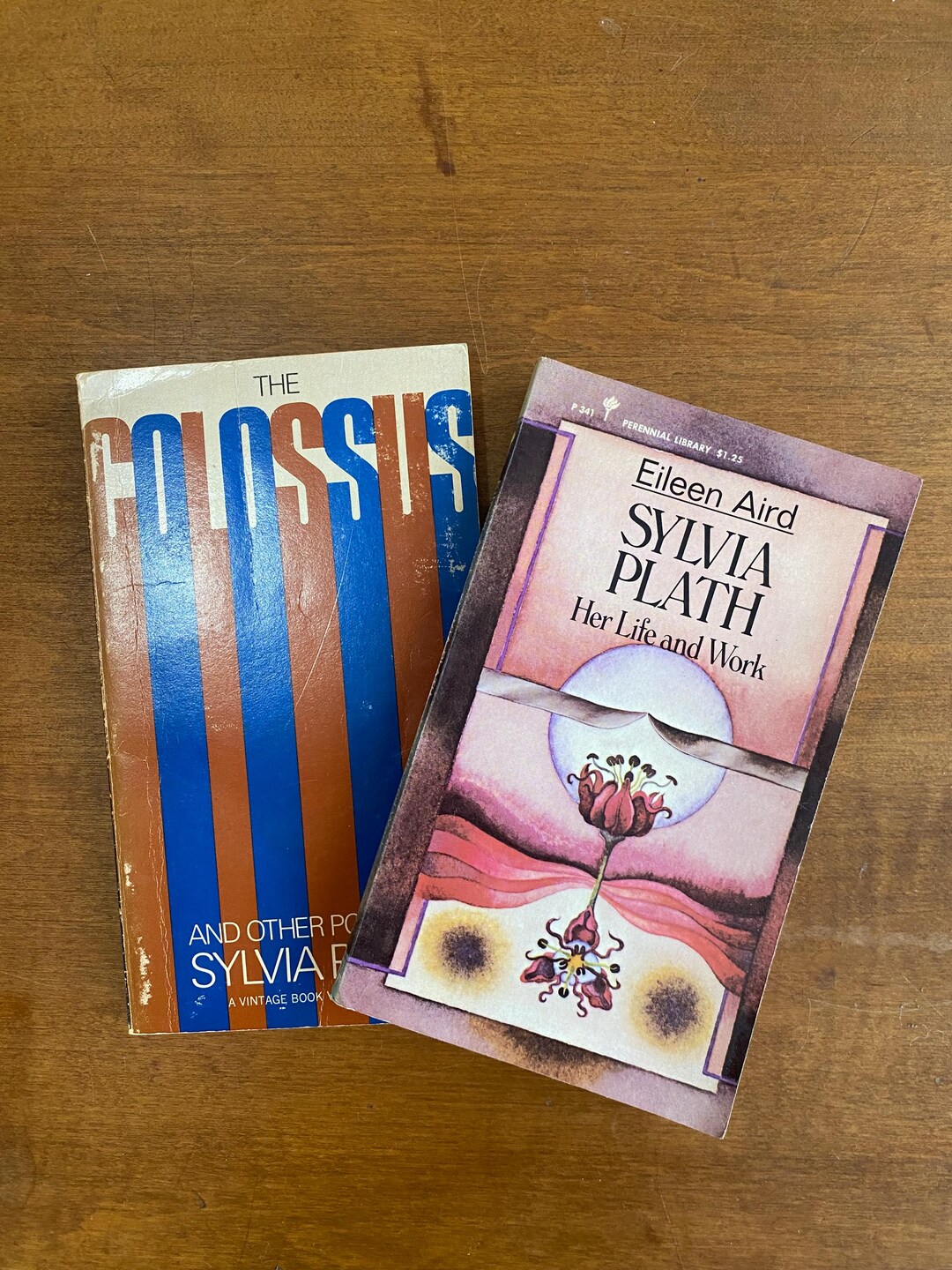 Sylvia Plath Paperback Bundle - Etsy