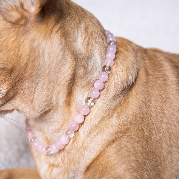 Crystal Dog Collar - Etsy