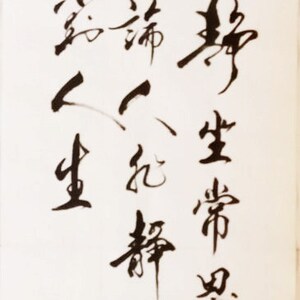Handwritten Chinese Brush Calligraphy Characters Handwriting - Etsy