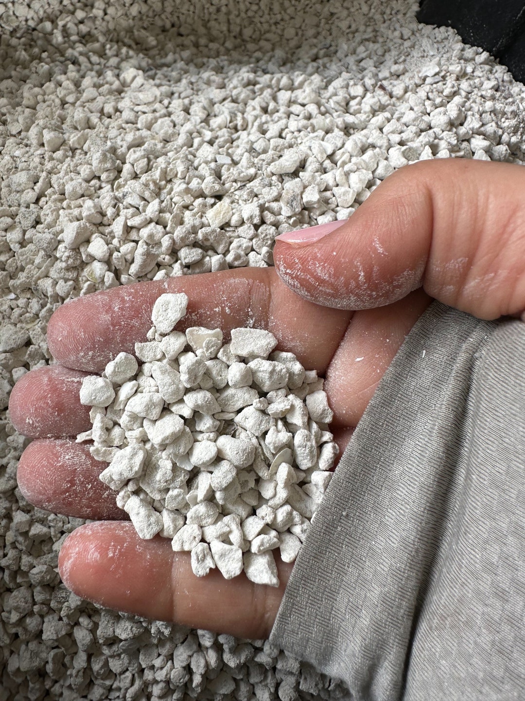 Organic Oyster Shell Soil Amender: Natural Calcium Supplement for ...