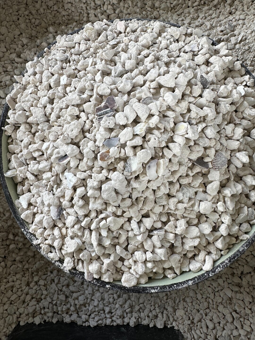 Crushed Oyster Shells & Calcium in 1 Pound Bags - Etsy