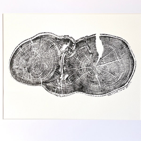 Tree Ring Print - Etsy