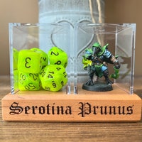 Dnd Miniature - Etsy