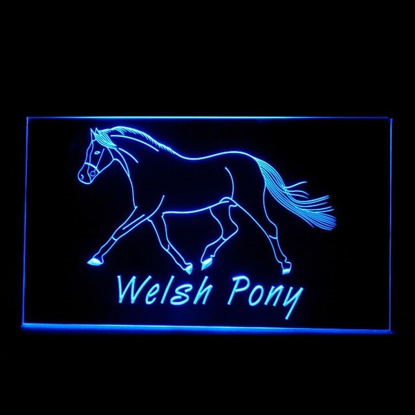Welsh Pony - Etsy