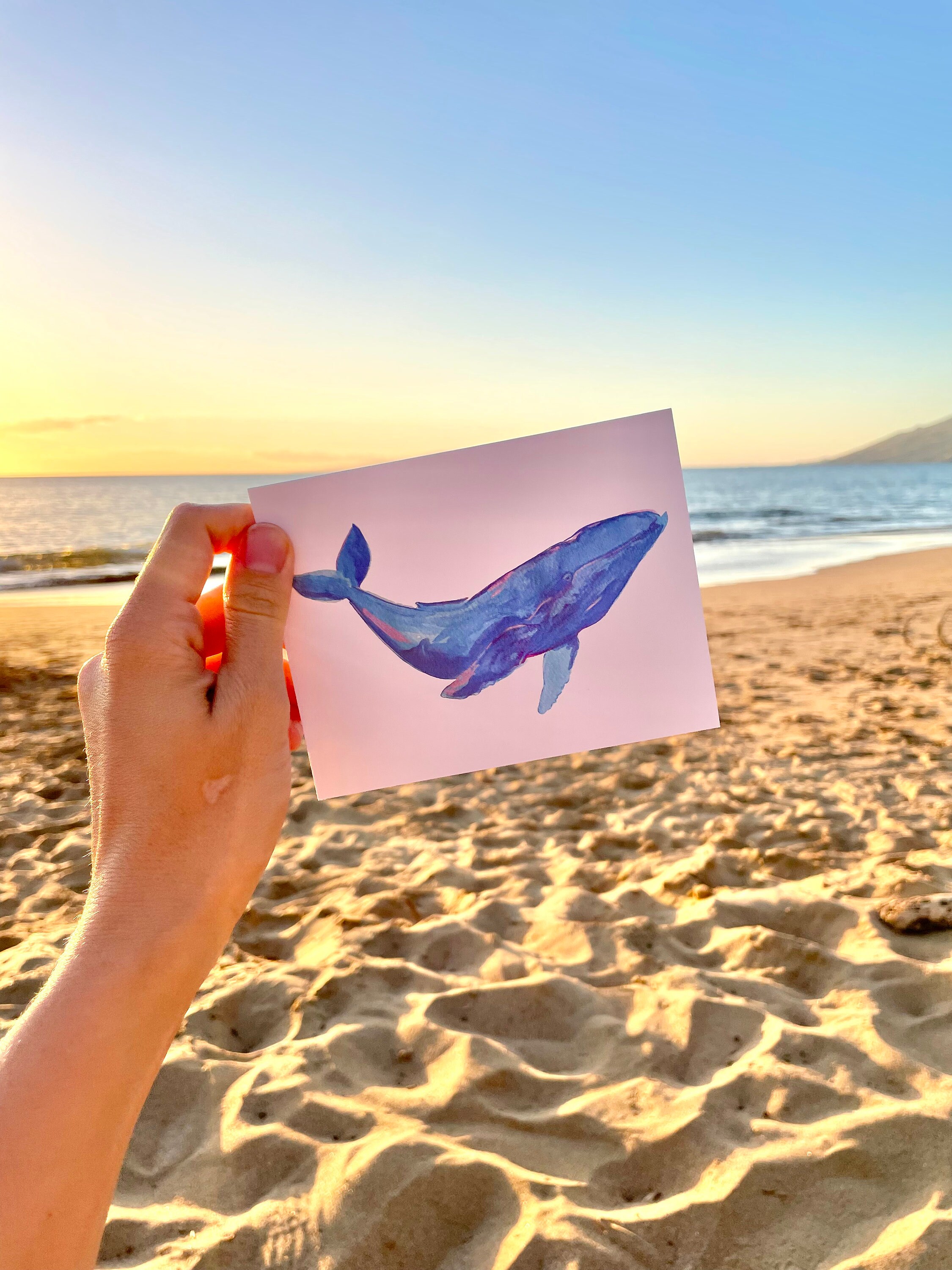 Watercolor Whale Note Cards / Whale Cards / Whale Note Cards / - Etsy