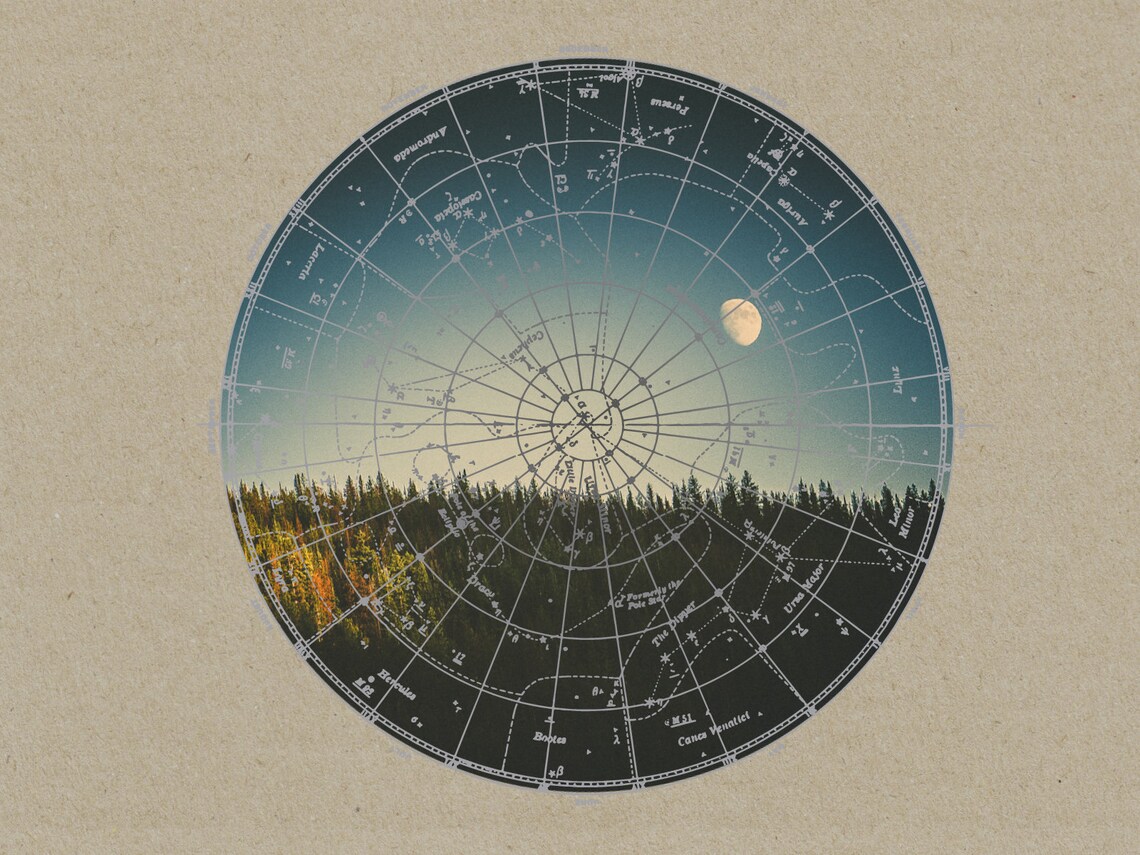 Vintage Chart Illustration Supplied as Editable Scalable - Etsy